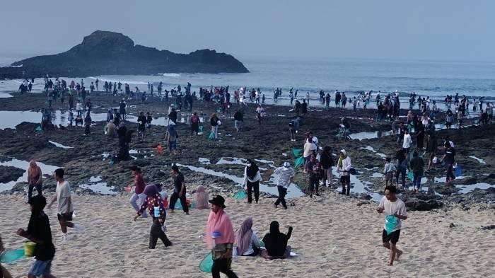 Jelang Malam Puncak, Hasil Tangkapan Nyale di Pantai Seger Lombok ...