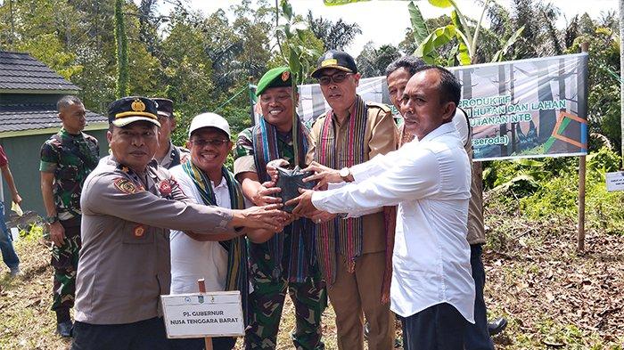 PTAM Giri Menang dan DLHK NTB Tanam 1.000 Pohon untuk Merawat Sumber Air di Pulau Lombok ...