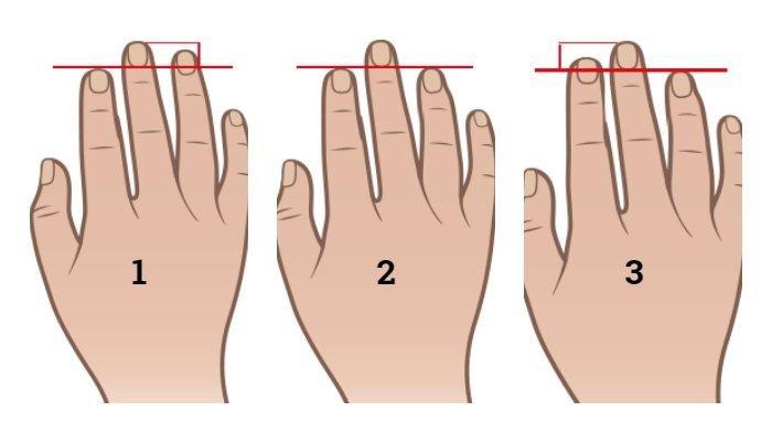 Tes Kepribadian - Jari Manis atau Jari Telunjuk yang Lebih Panjang ...