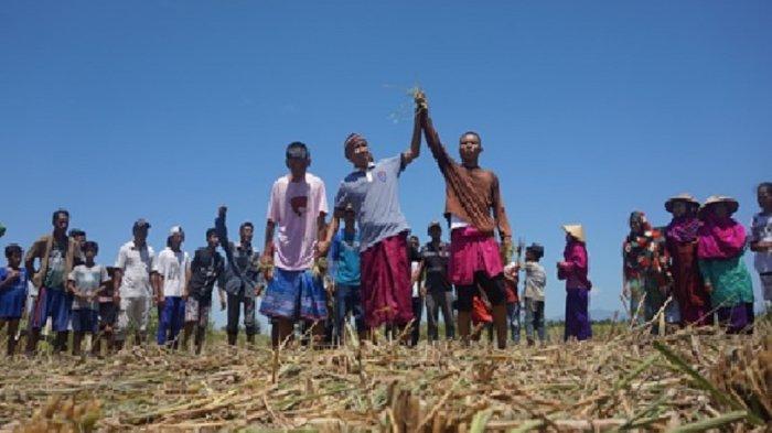 Mengenal Barempuk, Tradisi Tinju Tradisional Khas Sumbawa ...