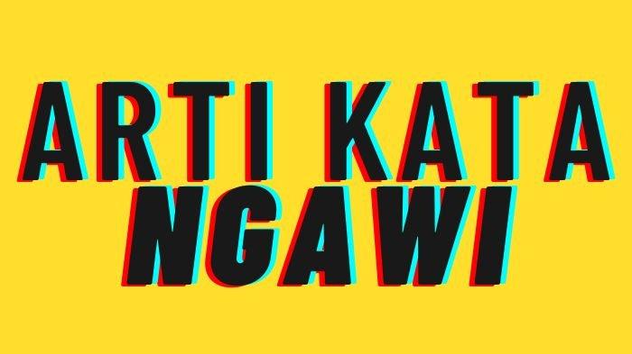 Arti Kata Ngawi Bahasa Gaul yang Banyak Digunakan di TikTok Hingga ...