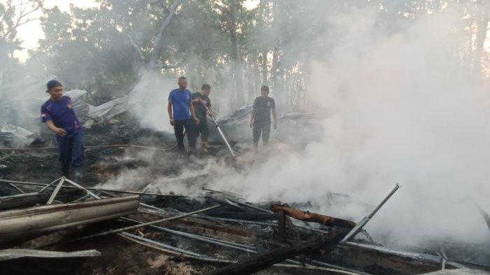 14 Ribu Ayam Mati Terpanggang dalam Kebakaran Kandang di Ponorogo, Kerugian Rp 1,3 Miliar ...