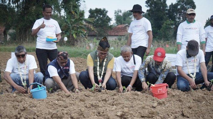 BEP Tembakau Pamekasan Tahun 2022 Naik, Harga Beli Tembakau Gunung Naik ...