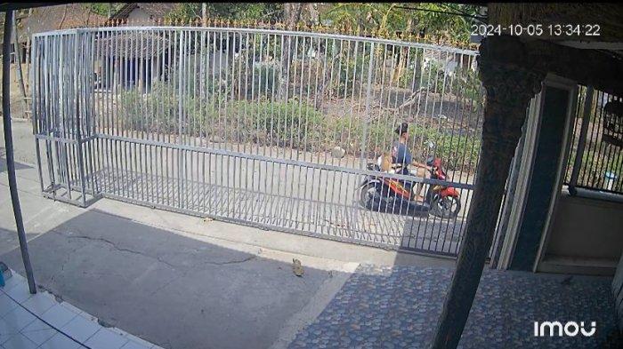 Bocil Ponorogo Curi Anak Kambing di Siang Bolong, Diangkut Pakai Motor ...