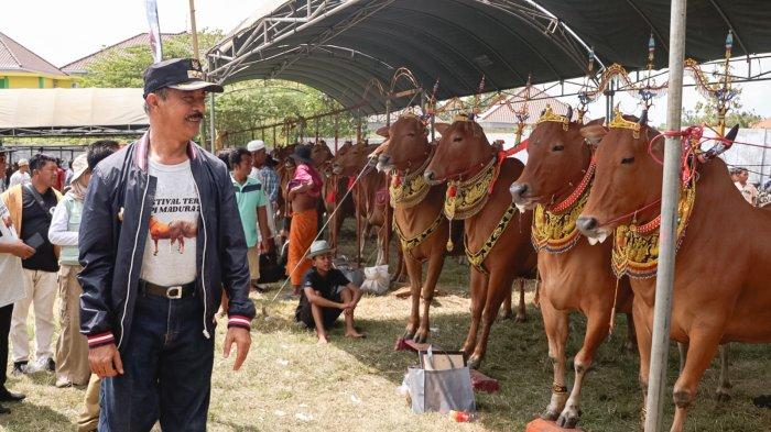 Ratusan Pasang Sapi Sonok Khas Pamekasan Dipamerkan, Simbol Perkuat ...
