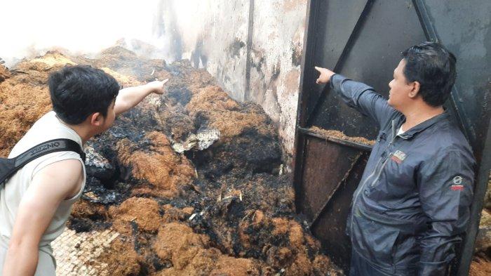 Ribuan Bal Tembakau Rajangan Kering di Gudang Grendel Internasional ...