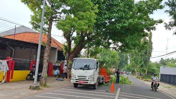 Tak Ada Pengaturan Lalu Lintas, Sejumlah Pohon di Jalan Raya Sumenep ...