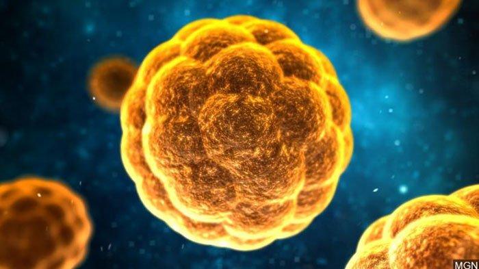 Apa Itu Penyakit Hepatitis? Kenali Penularannya dan Cara Mencegahnya ...