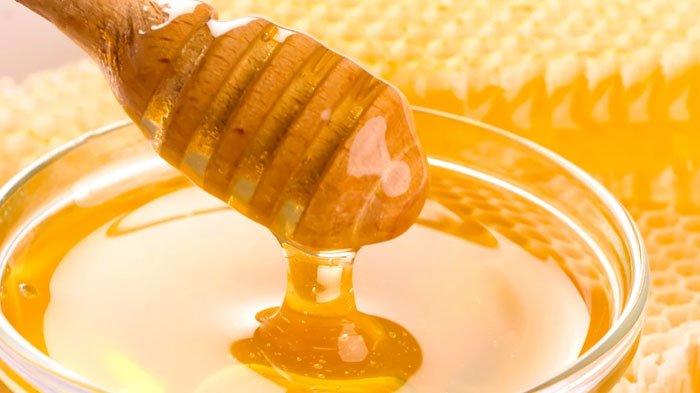 Cara Membedakan Madu Asli dan Madu Palsu, Bisa Pakai Tes Sederhana dari ...