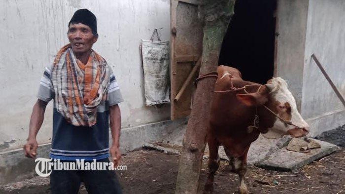 Teriakan Sapi Bikin Tetangga Bangunkan Warga, Pemilik Sapi Tertunduk ...
