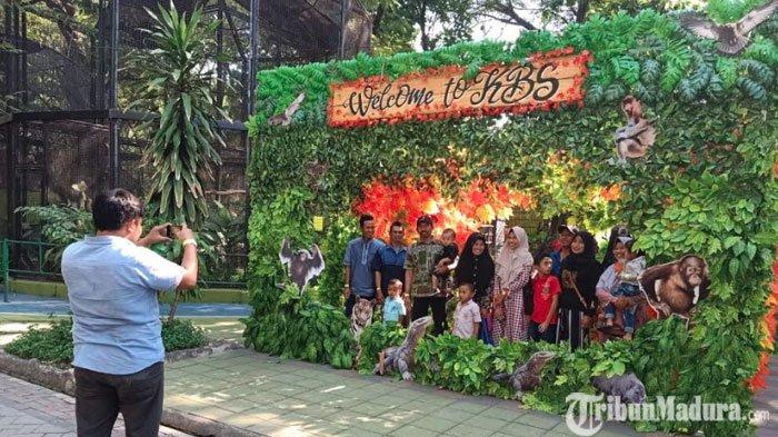 Kebun Binatang Surabaya (KBS) Ditutup 2 Pekan, Petugas Tambah Fasilitas ...