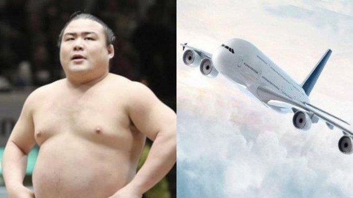 Pesawat Gagal Lepas Landas Gegara Ditumpangi 27 Atlet Sumo, Maskapai Sontak Putar Otak, 'Tak ...