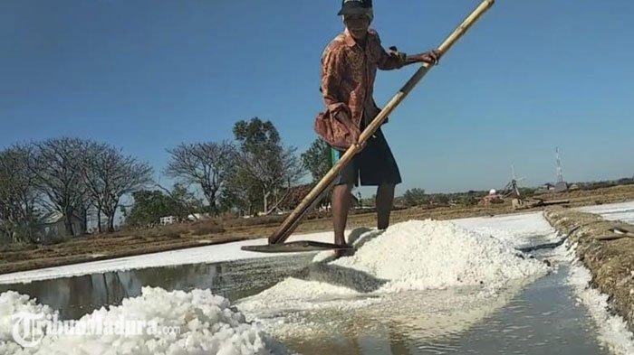 Fakta Menarik Pulau Madura, Dijuluki Pulau Garam Hingga Pernah Jadi ...