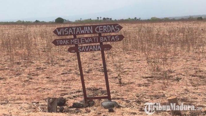5 Hal Penting yang Perlu Diketahui saat Wisata ke Taman Nasional ...