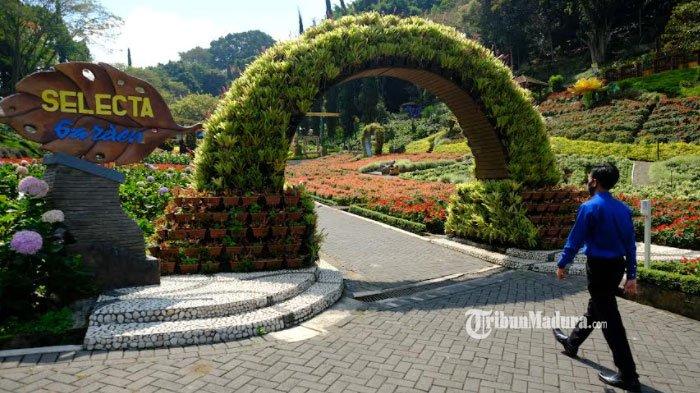 3 Arti Mimpi Taman Bunga Bagi Jomblo, Waspada Pertanda Kurang Baik ...