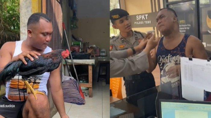 TikTokers Adi Kini Cemaskan Ayamnya Usai Viral, Sempat Ditawar Rp 50 ...