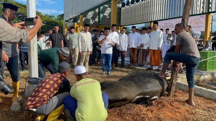 Mentan Amran Sulaiman Kurban 88 Ekor Sapi - Tribun-timur.com