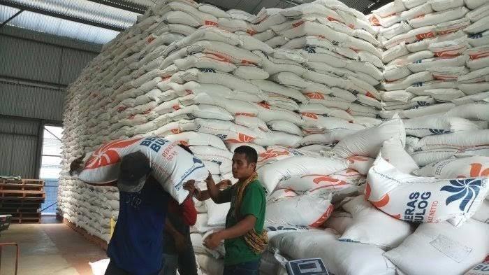 500 Ton Beras di Bulog Pinrang Hilang, Polisi Periksa 5 Saksi - Tribun-timur.com