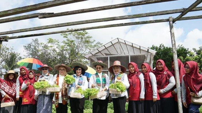 Dorong Ketahanan Pangan Keluarga, Bidang V OASE KIM Panen Sayur Organik dan Bimtek Urban Farming ...
