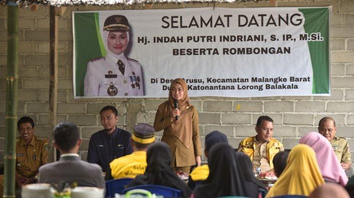 25 Tahun Dinanti, Warga Katonantana Balakala Lutra Syukuran Daerahnya ...