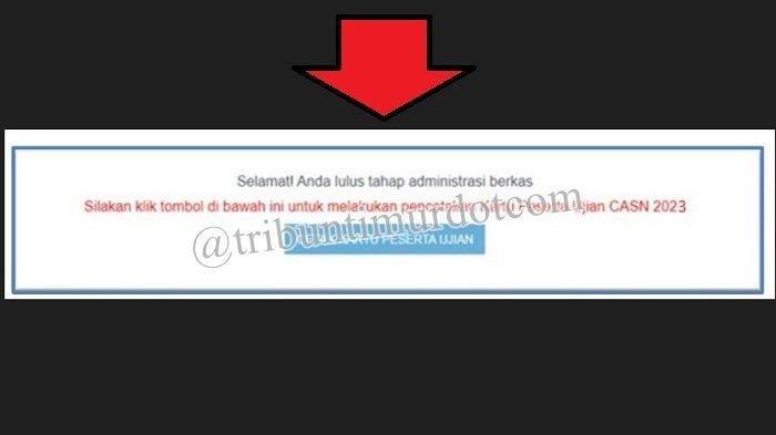 Link sscasn.bkn.go.id - Begini Tulisan Jika Lulus Seleksi Administrasi CPNS 2023 - Tribun-timur.com