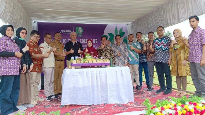 Lewat Program Cocoa Life, Mondelez Berdayakan Petani Kakao Pinrang dan ...