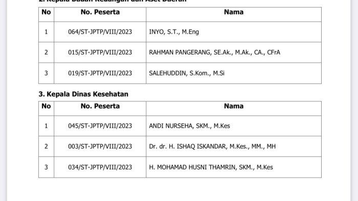 Daftar Nama Pejabat Lolos 3 Besar Lelang Jabatan 6 OPD Pemprov Sulsel - Tribun-timur.com