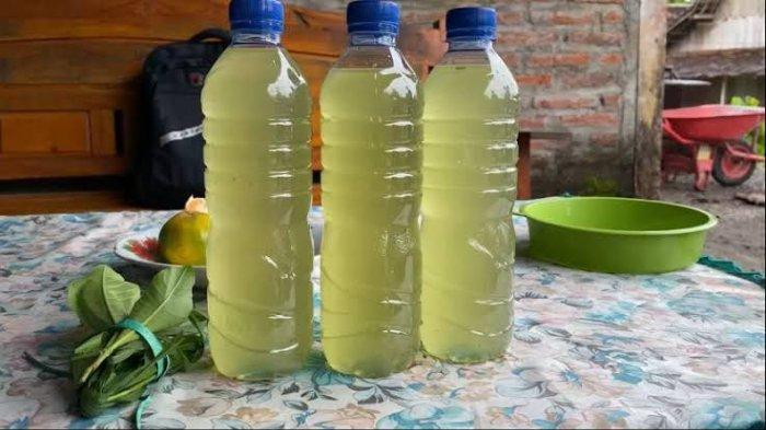 Guru Besar ITB Sebut Biosaka Lebih Hemat Biaya dan Mampu Perbanyak ...