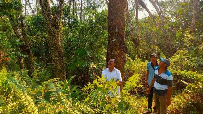 Evaluasi Kendala dan Inovasi, Komisaris Independen PTPN XIV Kunjungi ...