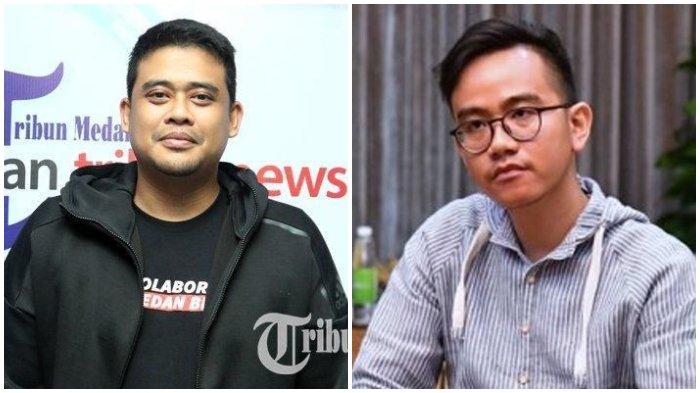 Bobby Nasution dan Gibran Bernasib Sama di PDIP, Tolak Kembalikan KTA, DPP: Tak Boleh Main Dua ...