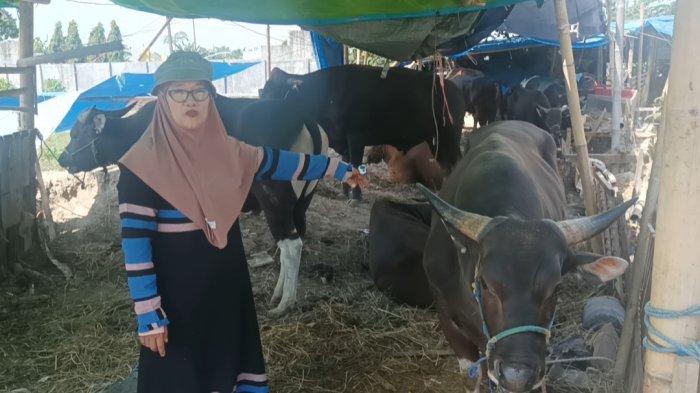 Jelang Idul Adha 2024, Harga Sapi Kurban Naik 20 Persen di Gowa Sulawesi Selatan - Tribun-timur.com