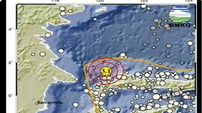 Info Gempa Terkini Jumat 11 Agustus 2023 Sore, BMGK: Magnitudo 3.1 di Pulau Sulawesi - Tribun ...