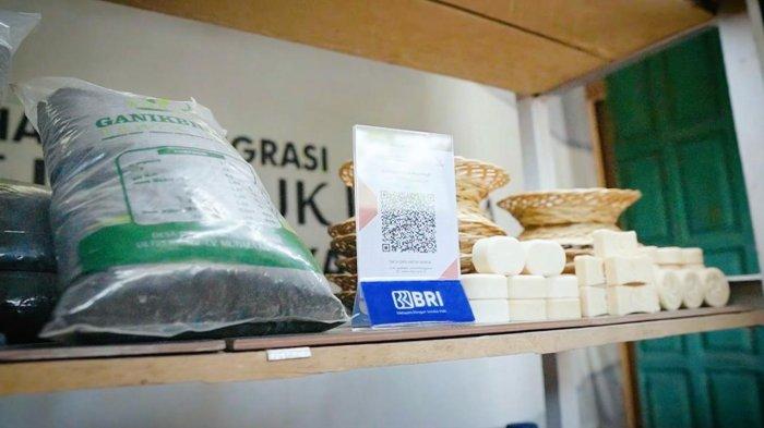 Intip Cerita Desa Ibru Muaro Jambi, Pemenang Desa BRILian Paling Inovatif dan Digitalisasi ...