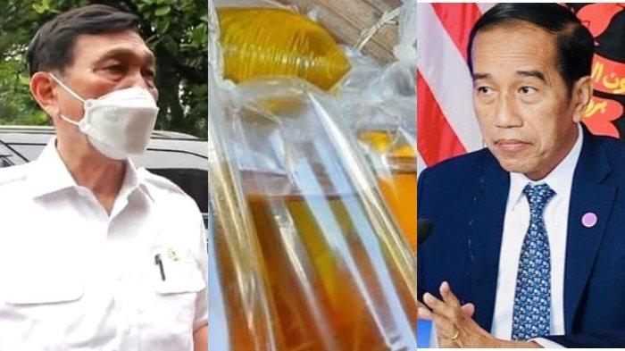 Baru-baru Disuruh Urus Minyak Goreng, Luhut Temukan Masalah dan Mengadu ke Jokowi Soal Ini ...