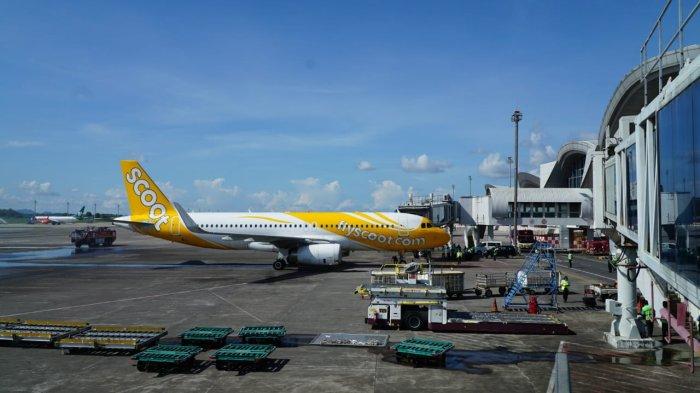 Pajak PBB Maros Capai Rp 32 Miliar, Bandara Sultan Hasanuddin Jadi Penyumbang Terbesar - Tribun ...