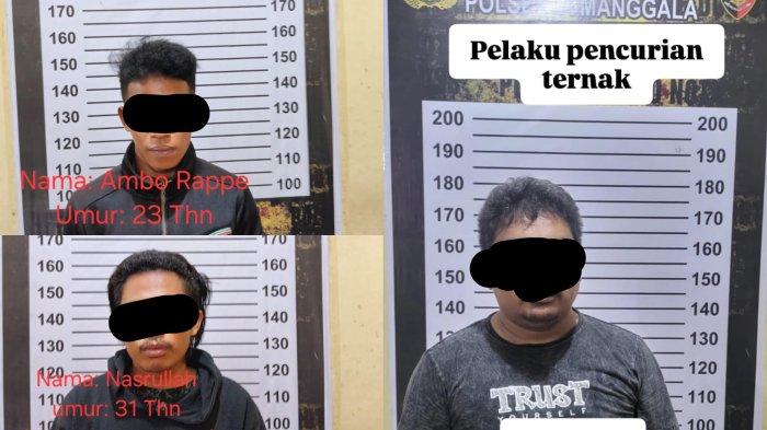 Pakai Truk Sampah, 2 Honorer dan Pedagang Curi Sapi di TPA Tamangapa ...