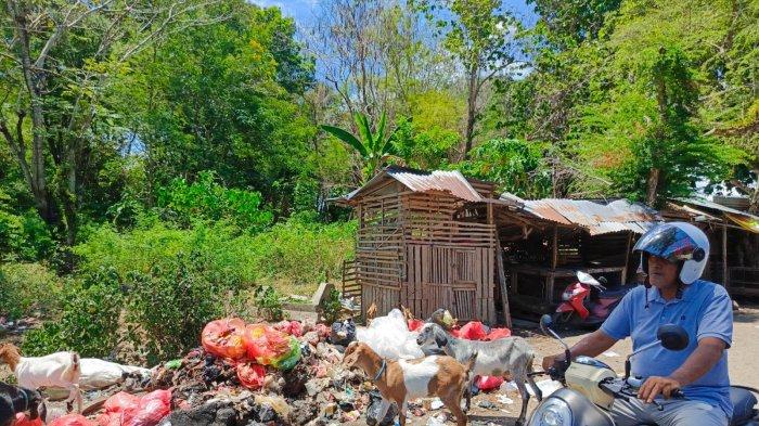 Tumpukan Sampah Sambut Pengunjung Pasar Sentral Sinjai - Tribun-timur.com