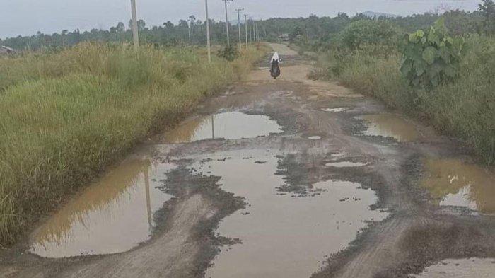 Viral Jalan Penghubung 2 Desa di Lutim Rusak Parah, Hujan Seperti Empang, Kemarau 'Makan' Debu ...