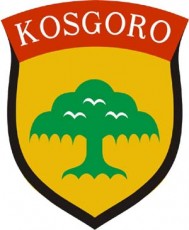 Kosgoro Sulsel Lantik Pengurus Secara Massal - Tribun-timur.com