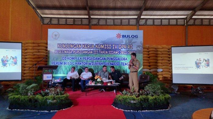 Komisi IV DPR RI Dorong Bulog Optimalkan Serapan Beras di Momentum ... Komisi IV DPR RI Dorong Bulog Optimalkan Serapan Beras di Momentum ...