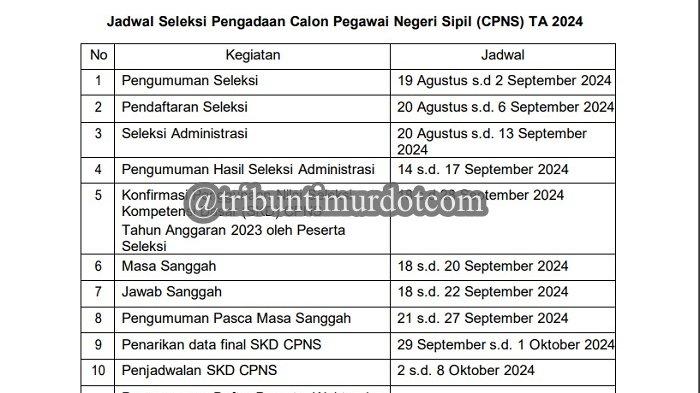 Lengkap! Jadwal CPNS 2024 dari BKN - Halaman 3 - Tribun-timur.com
