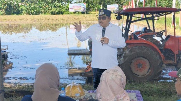 Firdaus Daeng Manye Target Hasil Panen Padi Takalar Naik Jadi 6 Ton Per ...