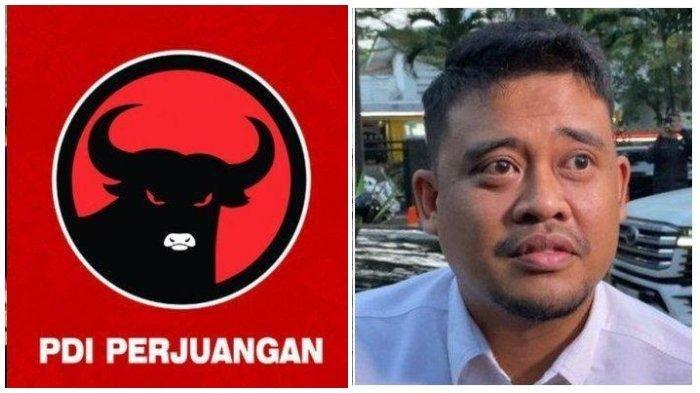 Jejak Karier Calon Gubernur Sumut Jagoan PDIP Penantang Bobby, Bukan ...