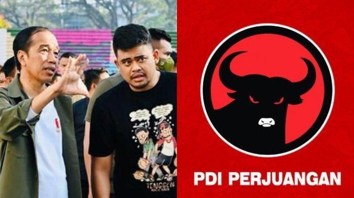 Alasan PDIP Ogah Bobby Nasution Dikalah Kotak Kosong di Pilgub Sumut, Pasti Dapat Lawan Sepadan ...