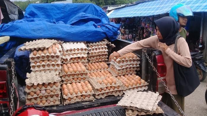 Jelang Ramadan, Harga Telur Ayam Ras di Pasar Tradisional Sinjai Rp 42 ...