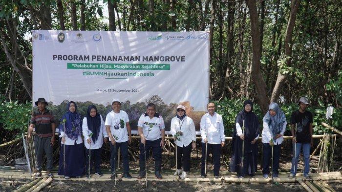 Pelindo Regional 4 Tanam Mangrove di Lahan 12,5 Hektare untuk Konservasi Lingkungan - Tribun ...