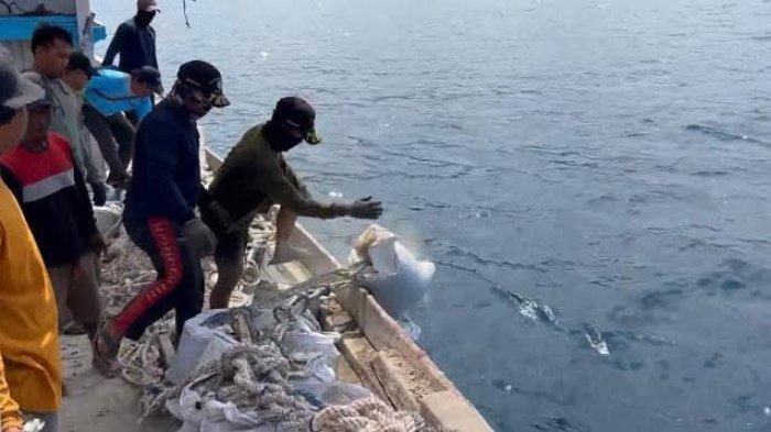 Prototipe Pertama di Indonesia, Ini Manfaat Pohon Rumpon Bulukumba ...