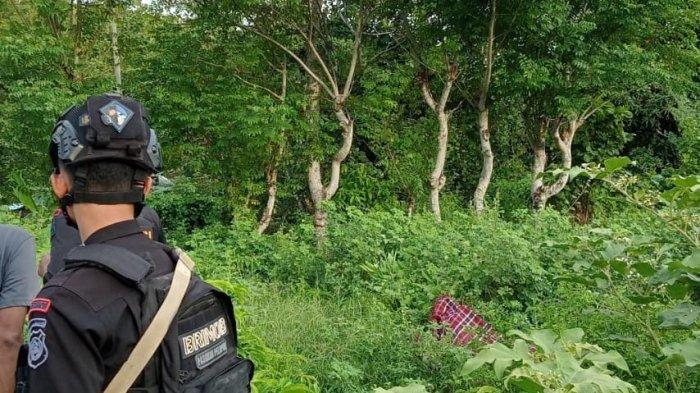 Kronologi Penemuan Mayat di Depan Gudang Rumput Laut Mancani Palopo ...