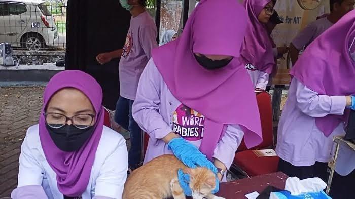 Waspada! Anjing Gila Teror Warga Gareccing Sinjai - Tribun-timur.com Waspada! Anjing Gila Teror Warga Gareccing Sinjai - Tribun-timur.com