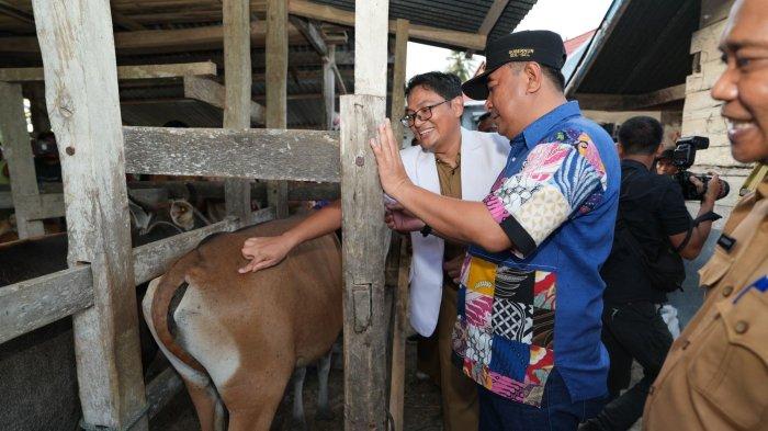 Setelah Pisang, Pj Gubernur Bahtiar Temukan Cara Tingkatkan Populasi Sapi di Sulsel - Tribun ...